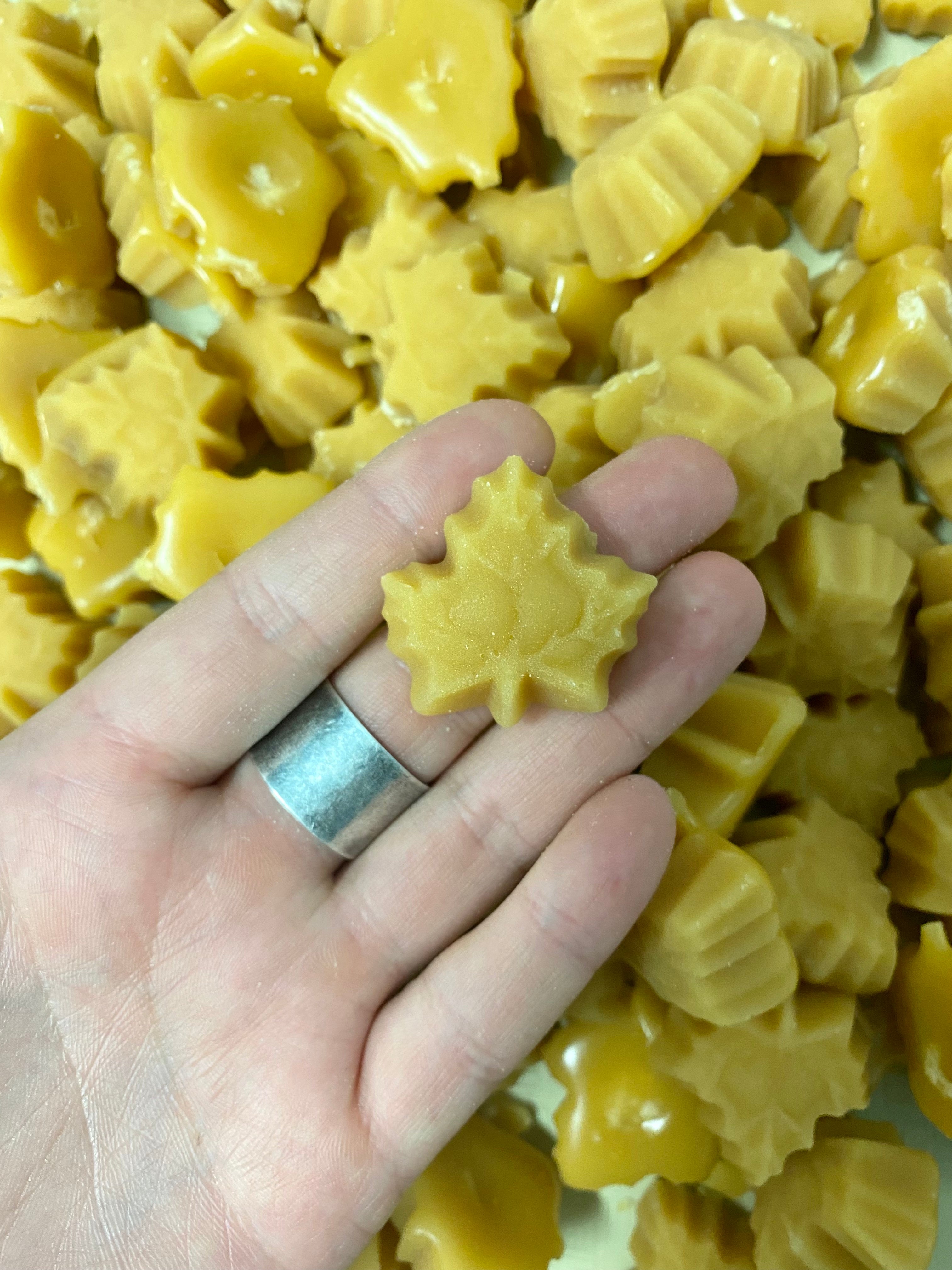 Pure Michigan Maple Candy Made From 100% Maple Syrup | Bonz Beach Farms